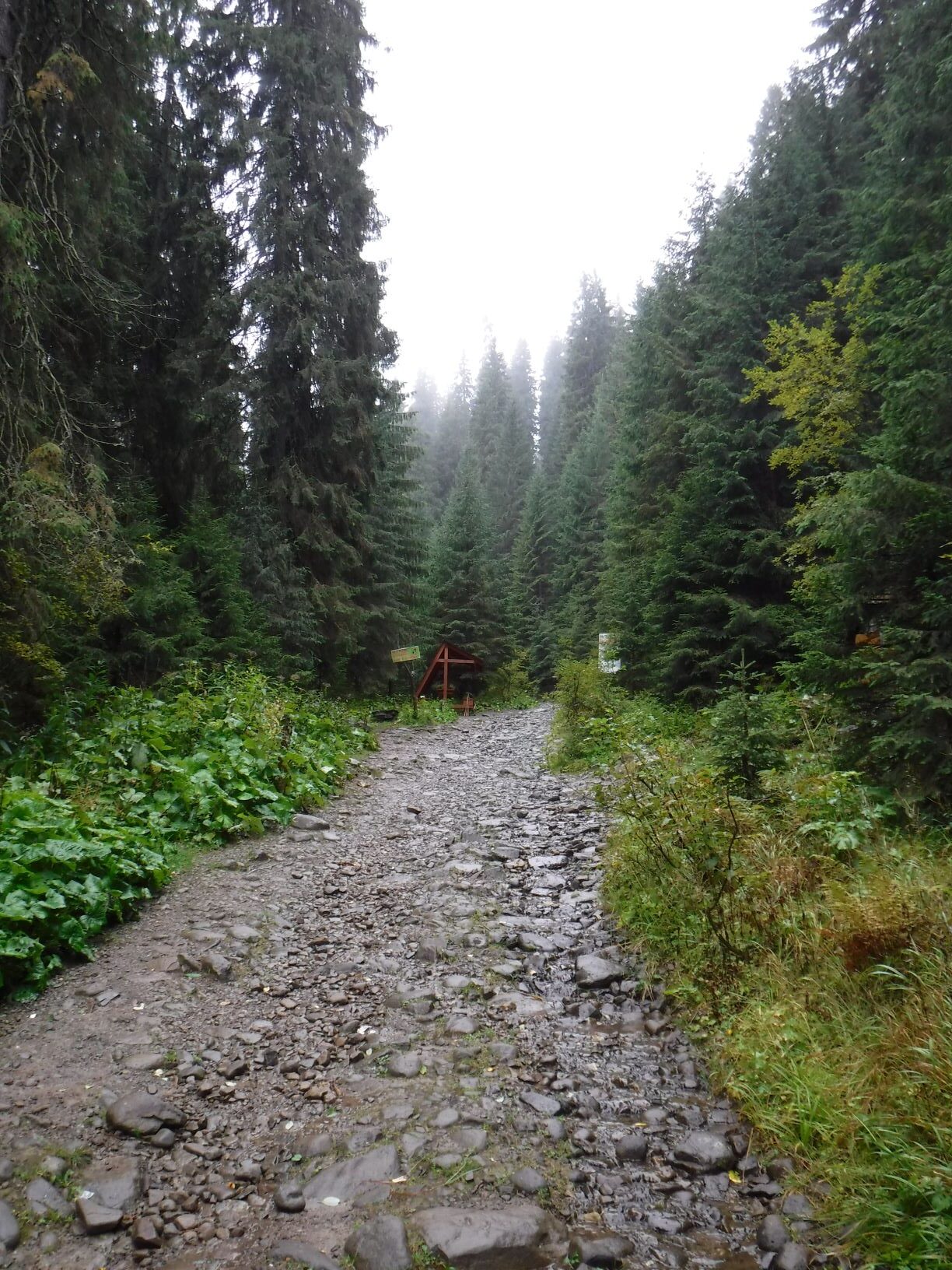 Climbing Mt Hoverla, Ukraine