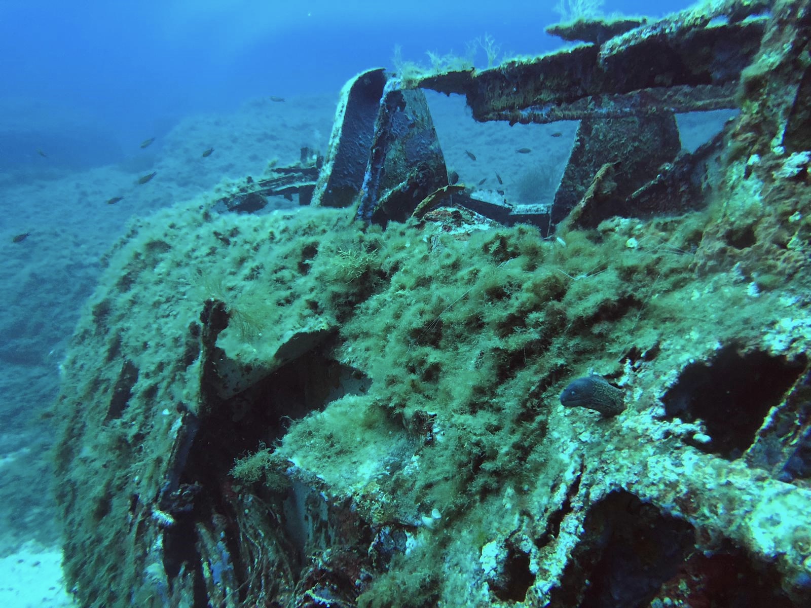 Diving the Ghosts of Corsica, Part II, France
